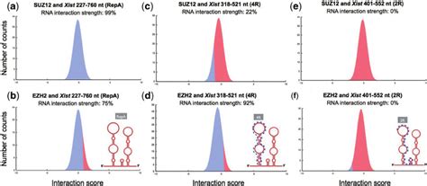Xist Repa 4r 2r And Pcg Proteins We Predict That Xist Repa 227 760
