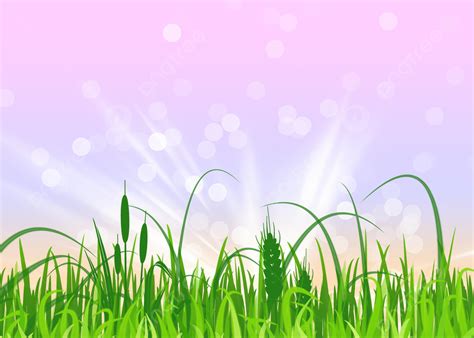 Light Spot Grass Gradient Cold Color Background Gradient Light Spot