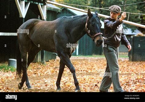 Seabiscuit Tobey Maguire 2003 C Universalcourtesy Everett