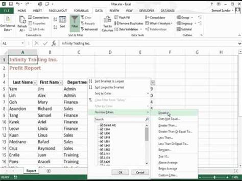 Creating A Custom AutoFilter In Excel YouTube