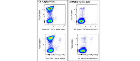 Rb744 Rat Anti Mouse Siglec H