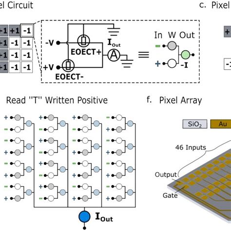 training concept a schematic of the simplest circuit producing the download scientific