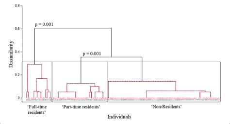 Agglomerative Hierarchical Clustering Analysis Displaying Three Main
