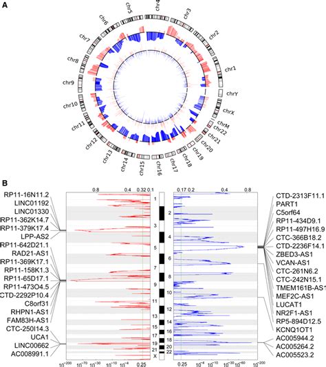 copy number variations analyses of lncrnas genome loci in ovarian