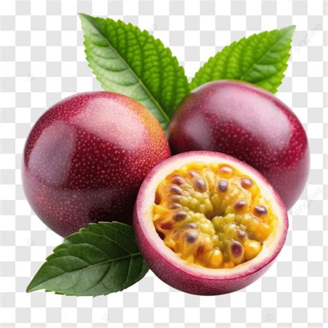 과일 축제 투명 배경 과일 과일 투명 과일 투명 배경 Png 일러스트 및 이미지 에 대한 무료 다운로드 Pngtree