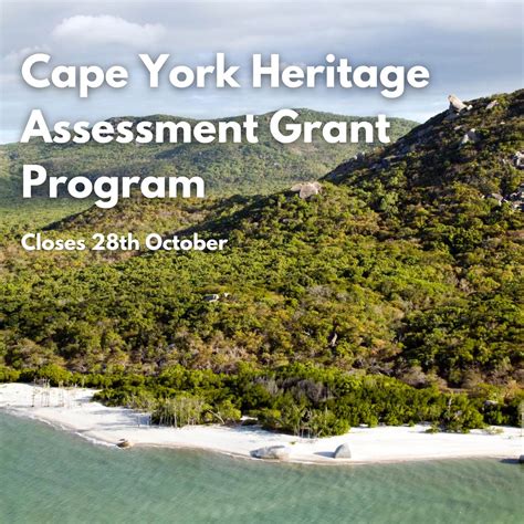 Lyn Wallace Posted On Linkedin