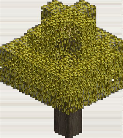 Beech Tree The Lord Of The Rings Minecraft Mod Wiki Fandom