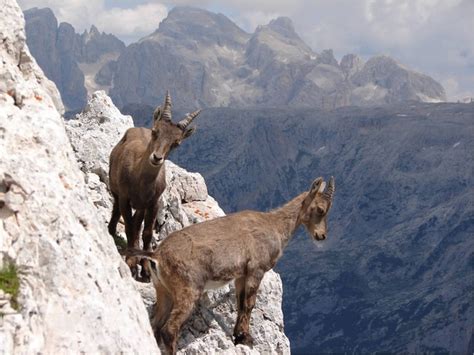 Wxpython Staticbox Coloring Pages