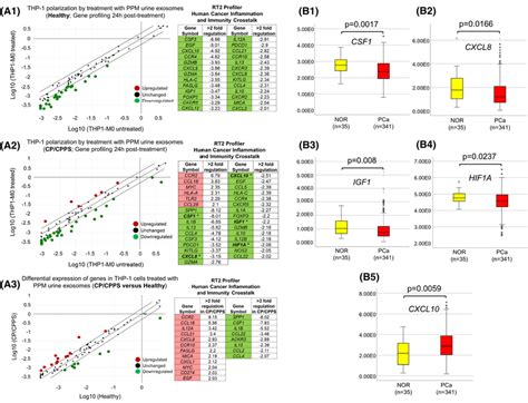 Rt² Profiler Pcr Array Human Cancer Inflammation And Immunity