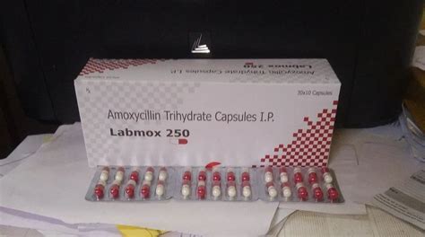 Labmox 250mg Tab At ₹ 20box Almox Amoxicillin Capsule 500mg In