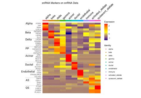 GitHub Randystyle ScRNA SnRNA Marker Github Page For ScRNA SnRNA Paper