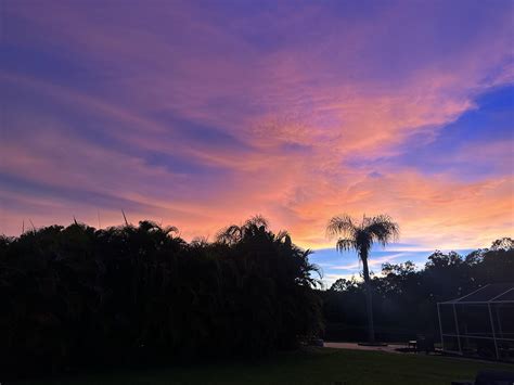 University Of Georgia Cheerleaders Get To Know Uga Cheerleader