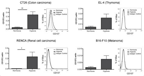 Hypoxia Induced Soluble Cd137 In Malignant Cells Blocks Cd137l