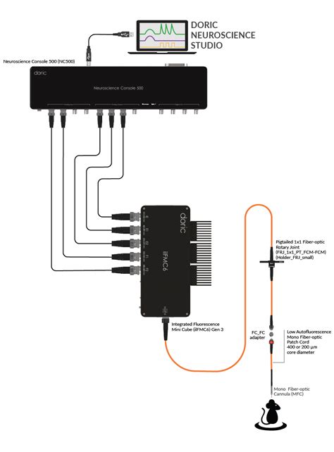 Basic Fiber Photometry System Doric Lenses Inc