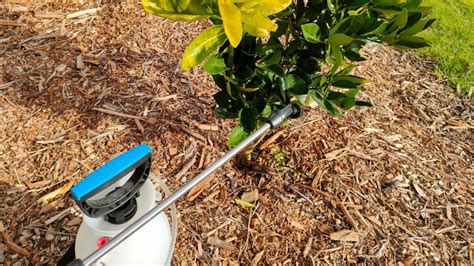 How To Use Effective Microorganisms For A Healthier Garden