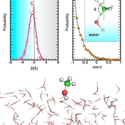 Radial Distribution Functions Rdfs For Methanol Water Interactions Download Scientific