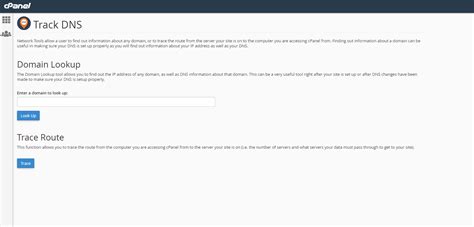 How To Use The Track Dns Tool In Cpanel