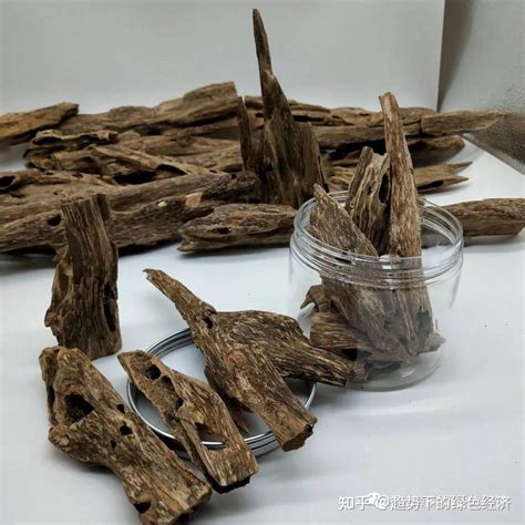 沉香常用的专业术语，来看看你知道多少？ 知乎