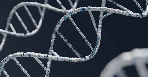Understanding Diagnosing And Using Genetic Testing For Thoracic Aortic Aneurysm Sequencing