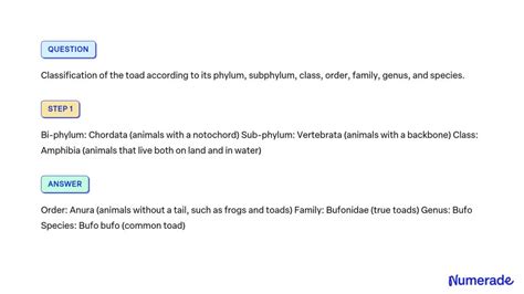 Solved Classification Of The Toad According To Its Phylum Subphylum