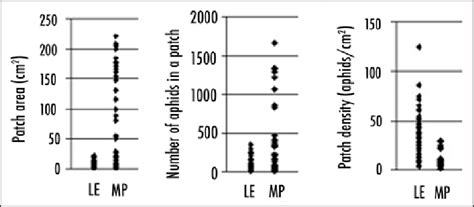 Aphid Patch Parameters Including Patch Area Cm 2 Number Of Aphids Download Scientific