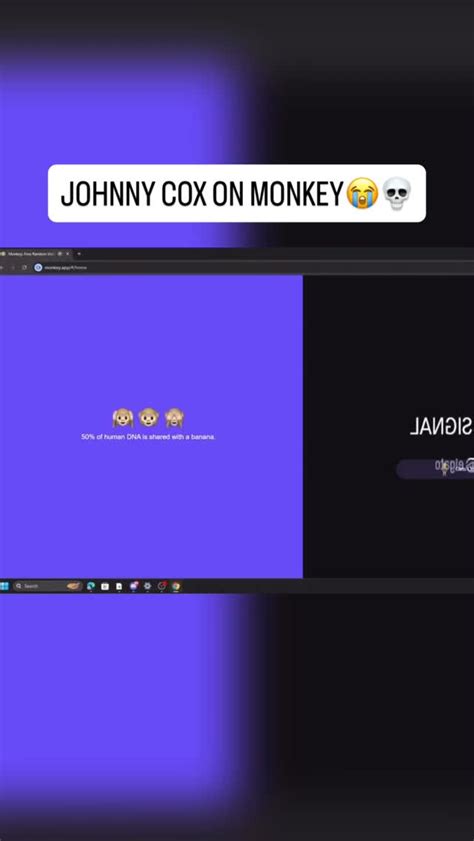 Stackswopo Real Face