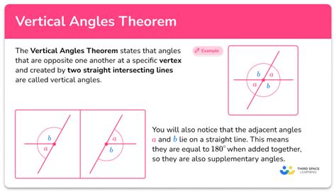 Vertical Angles Theorem Math Steps Examples And Questions