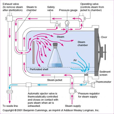 Autoclave Instrument Sterilization At Ester Lawrence Blog