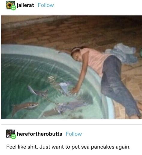 Who Thinks I Should Draw This As Zuko With The Turtle Ducks Sparkles R Tumblr