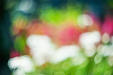 텍스트를 붙이는 데 사용 되는 추상 Bokeh와 흐린 화려한 자연 배경 모델 0명에 대한 스톡 사진 및 기타 이미지 0명 개념 개념과 주제 Istock