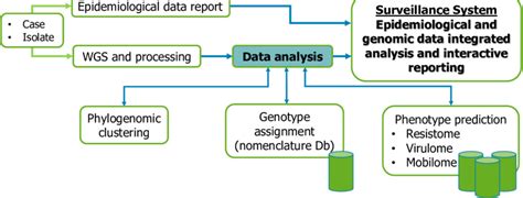Process Overview Wgs Data Production Analysis And Integration With