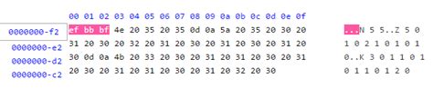 The Mysterious Byte Order Mark