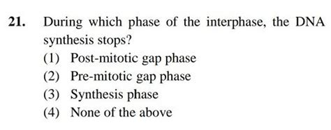 During Which Phase Of The Interphase The Dna Synthesis Stops Filo