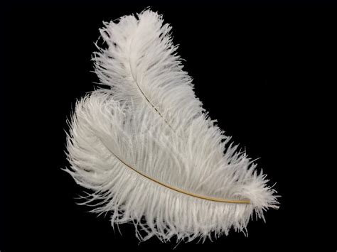 Large Ostrich Plumes Centerpiece Kit 30 Pieces Off White Ostrich