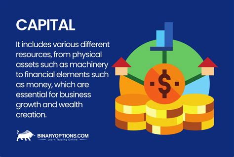Digital Capital Definition At Brandon Myers Blog