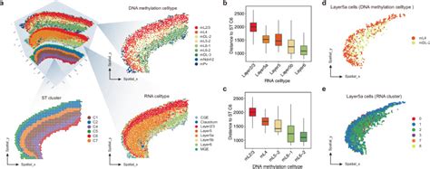 spatial integration of multi omics single cell data with simo pmc