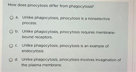 Solved How Does Pinocytosis Differ From Phagocytosis A