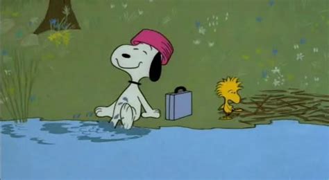 Snoopy And Woodstock  Snoopy And Woodstock Banner Snoopy Summer