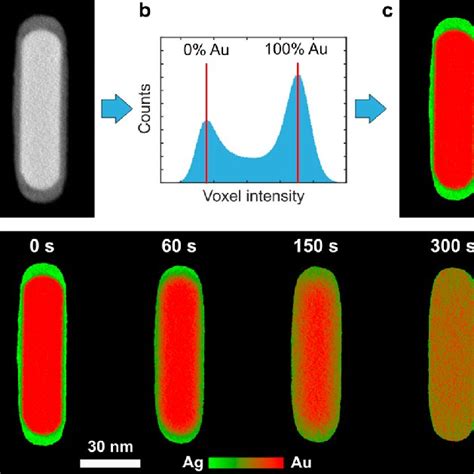 Schematic Of The Approach Used To Reconstruct The 3d Elemental