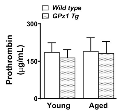 Figure S1 Plasma Prothrombin Levels In Mice Prothrombin Level Was Download Scientific Diagram