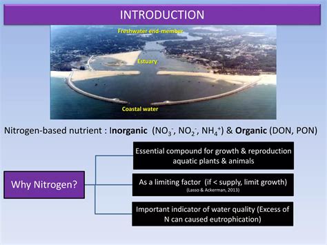 The Distribution And Behaviour Of Nitrogen Based Nutrients In