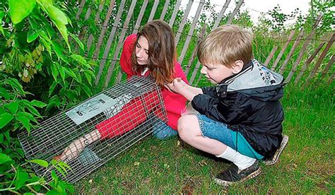 How Make Rabbit Traps