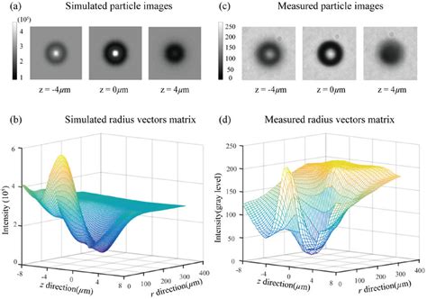 Simulated And Experimental Particle Images And Radius Vectors Matrix Download Scientific