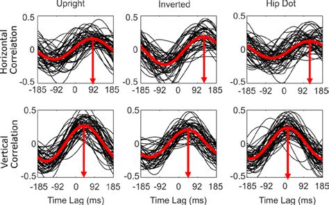 Results Of The Cross Correlation Analysis In Experiment 1 For One