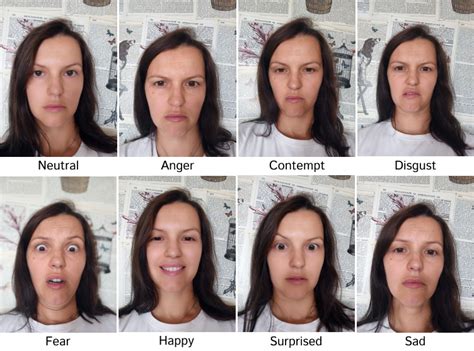 Uniquedatafacial Emotion Recognition Dataset · Datasets At Hugging Face