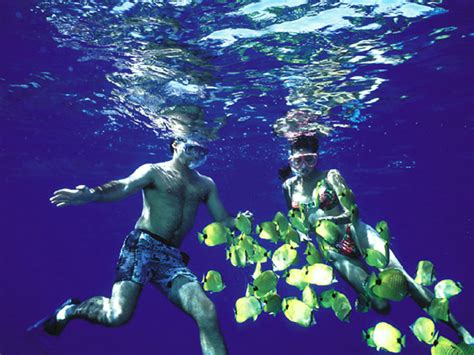 Holo Holo Charters Na Pali Coast Snorkel And Sail Kauai Discount