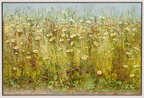 Jane Wormell Scottish Meadow Jonathan Cooper