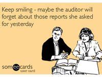 16 Auditing Ideas Accounting Humor Work Humor Accounting Humour