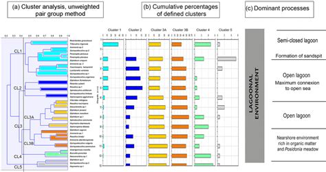 R Mode Cluster Analysis For Core RD3 Showing Clusters CL1 To CL5 Download Scientific Diagram