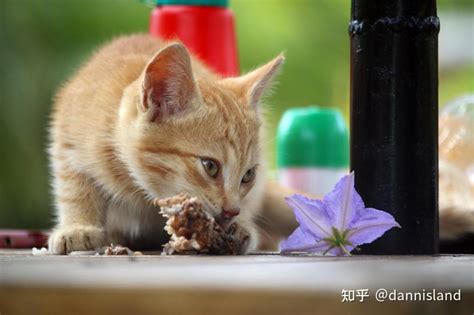 test 知乎